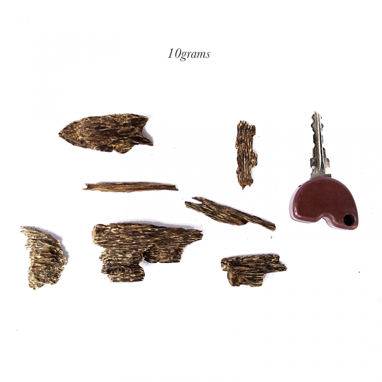 Mukha – A Community Cafe Nestled in TTDI, Kuala Lumpur